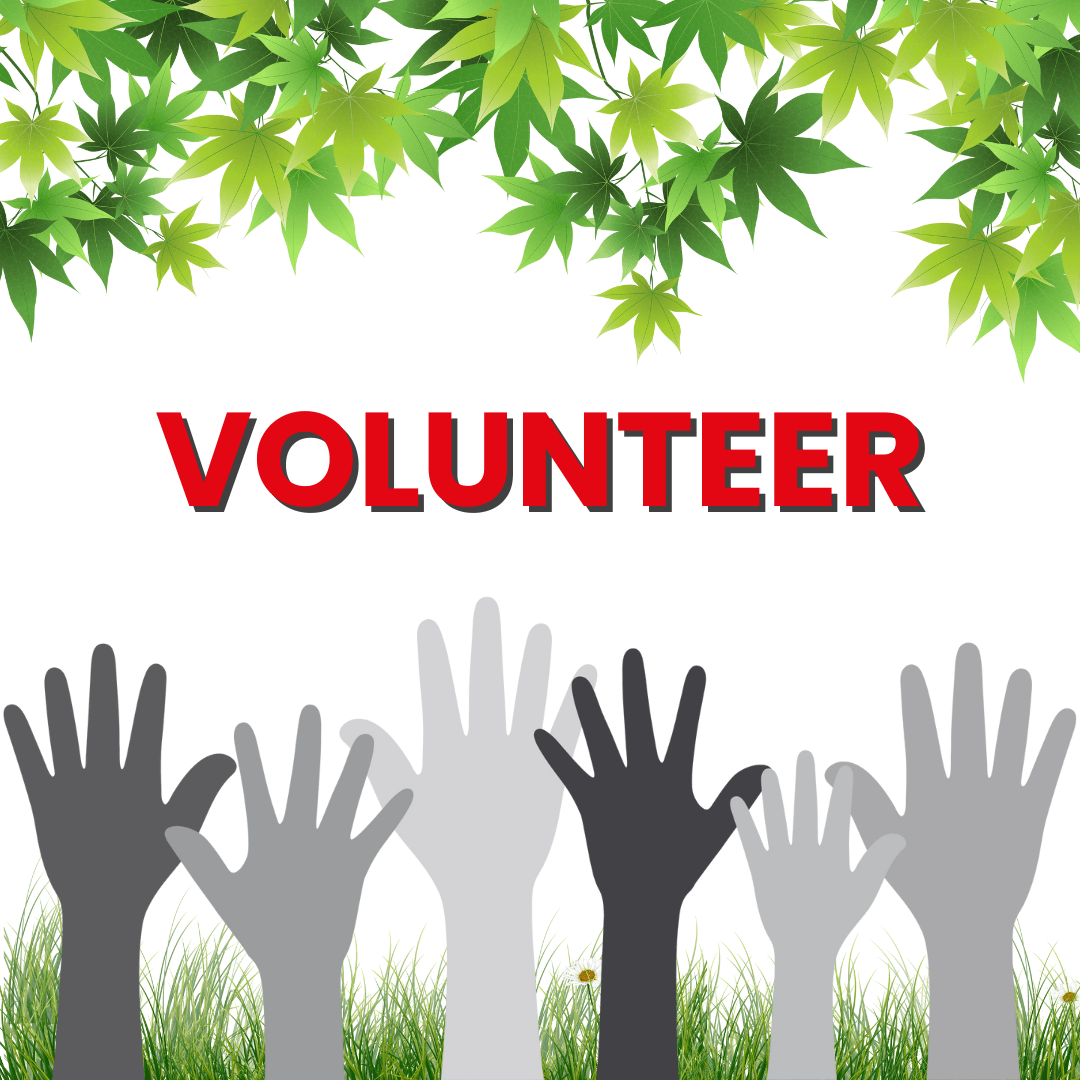 Get involved - Nicaragua Solidarity Campaign Action Group